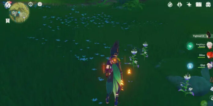 Padisarah Farming Spots and Route in Genshin Impact