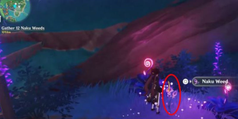 Exploring the Naku Weed Harvesting Path in Genshin Impact