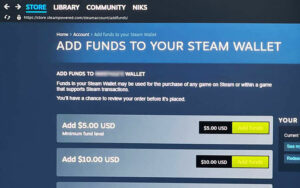 Steam Wallet: How to Add Funds and Refunded Guide