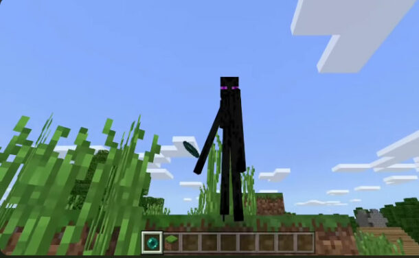 Top 5 Minecraft Skin & Editors for Beginner in 2023