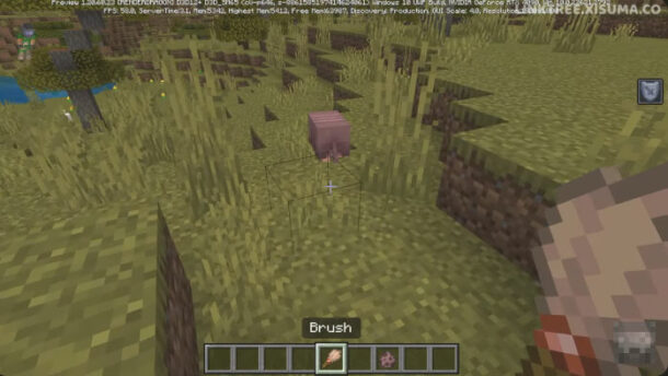 Minecraft Armadillo: All You Need to Know