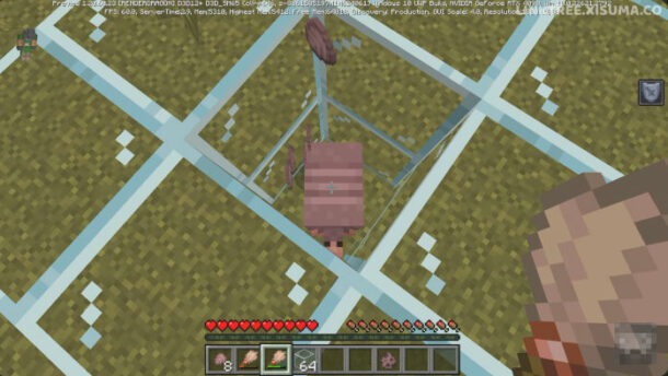 Minecraft Armadillo: All You Need to Know