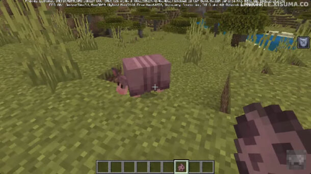 Minecraft Armadillo: All You Need to Know