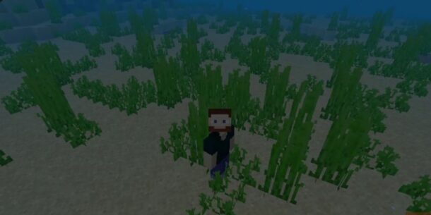 How to Create a Potion of Water Breathing in Minecraft