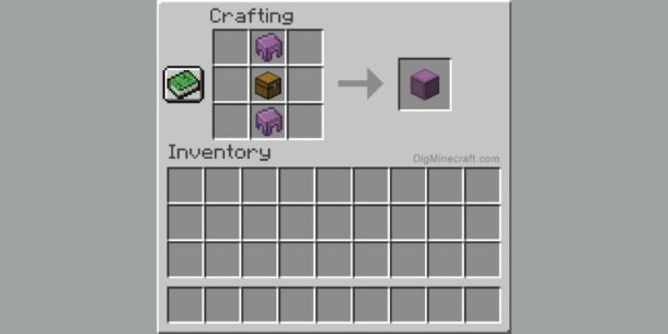 Unlocking the Marvels of the Minecraft Shulker Box