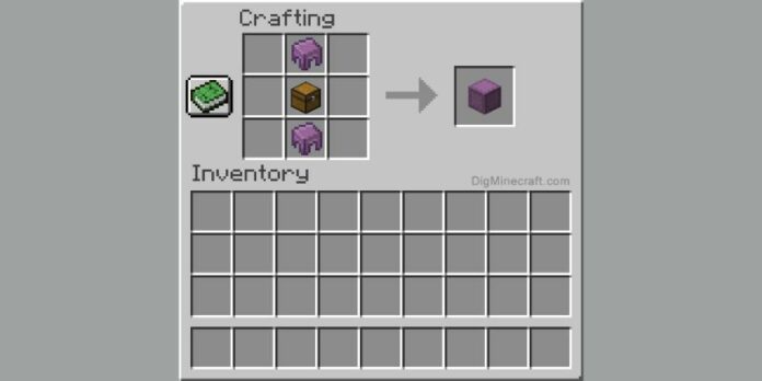 Unlocking the Marvels of the Minecraft Shulker Box