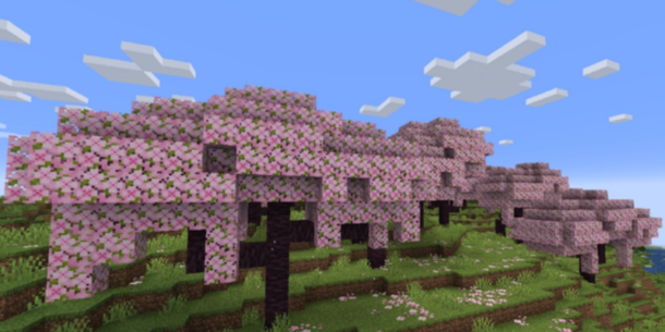 Comprehensive Guide to Cherry Blossoms in Minecraft