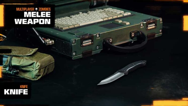 Wants to Get the Frying Pan Melee Weapon in COD Black Ops 6 and Warzone?