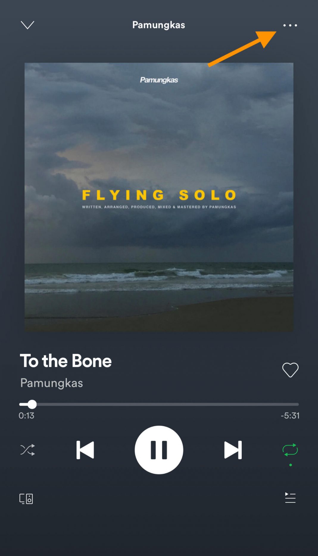 Cara Mudah Share Lagu dan Podcast Spotify ke Instagram