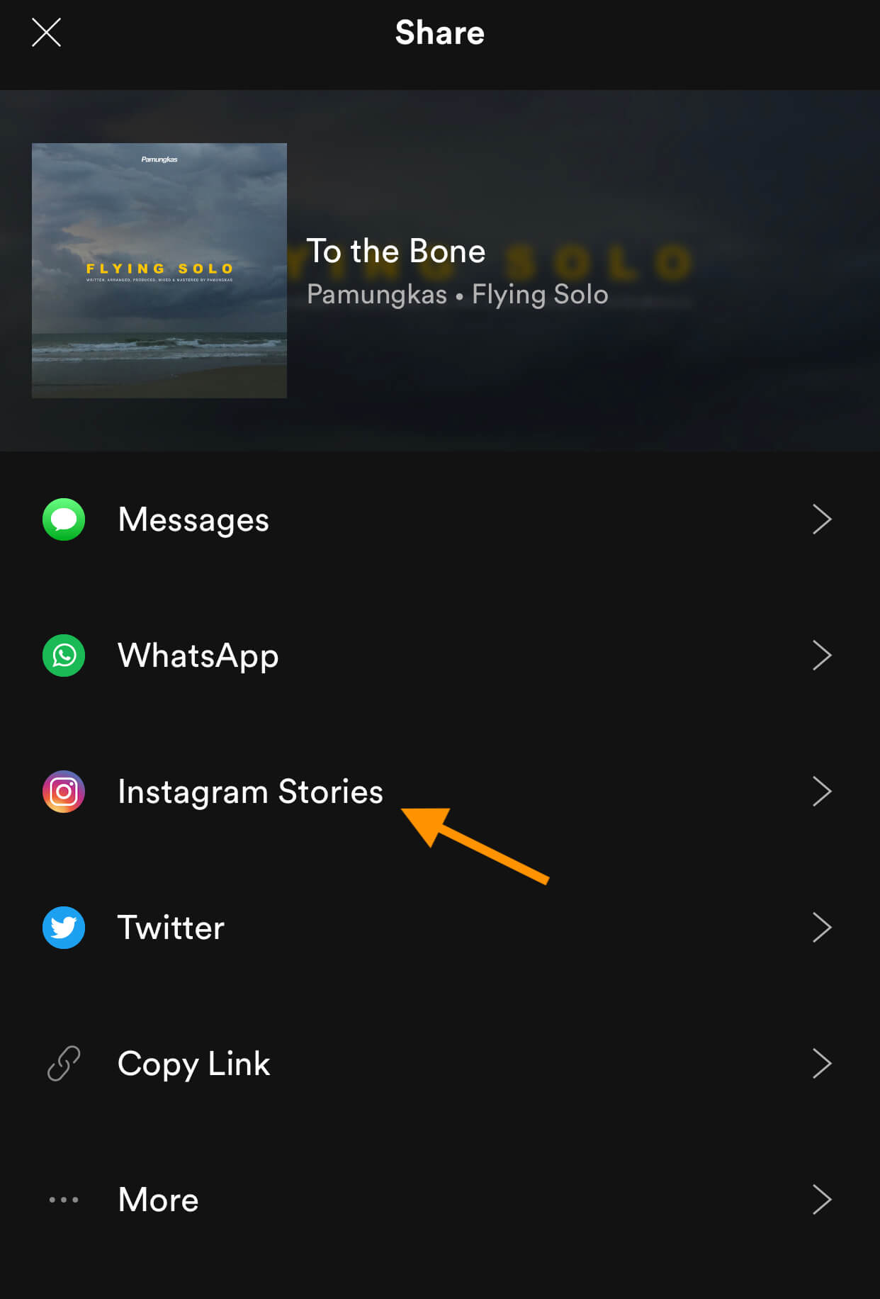 Cara Mudah Share Lagu dan Podcast Spotify ke Instagram