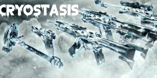 Bundle Skin Cryostasis Valorant