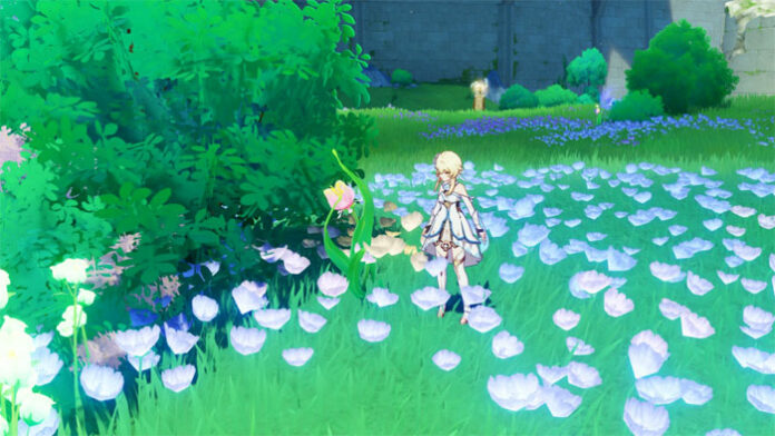 Daftar Rute Lokasi Farming Rainbow Rose Genshin Impact