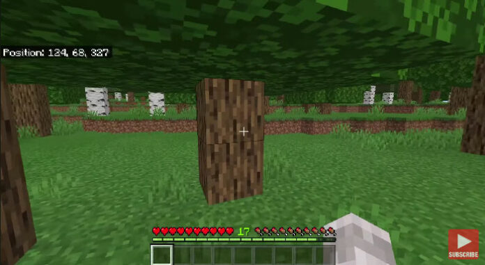 10 Barang Penting di Minecraft Wajib Kamu Kumpulkan