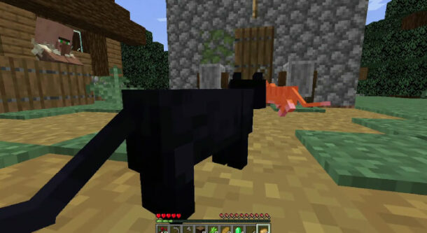 Cara Mendapatkan Kucing di Minecraft