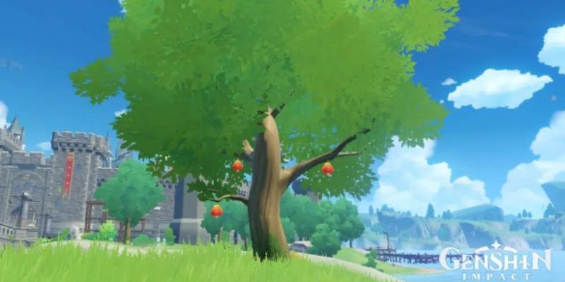 Rahasia Farming Sunsettia di Genshin Impact: Manfaat untuk Para Gamers!