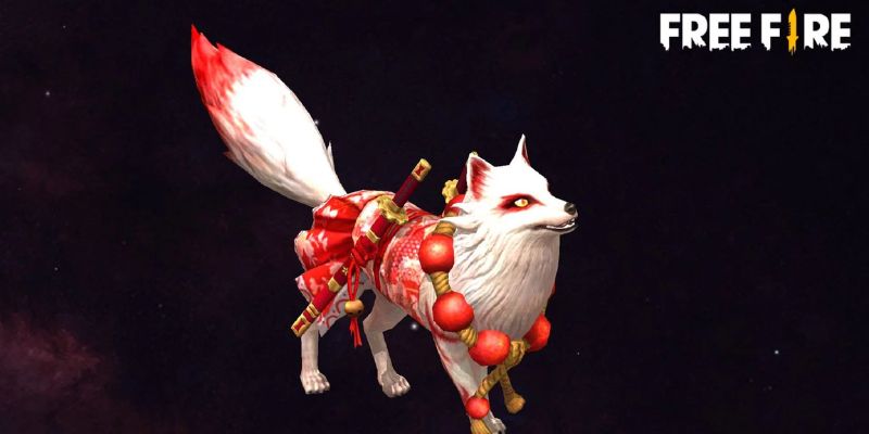 8 Pet FF Terbaik, Auto Win di Ranked Match