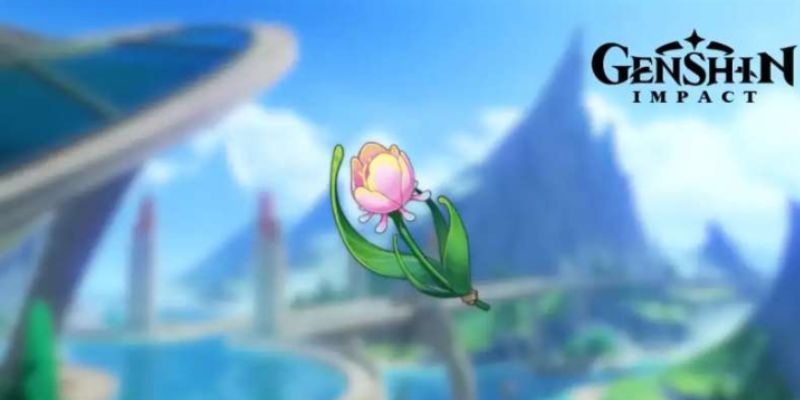 Temukan Lokasi Rainbow Rose di Genshin Impact & Raih Material Baru!