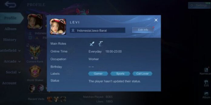 Panduan Cara Melihat ID dan Zona User Mobile Legends