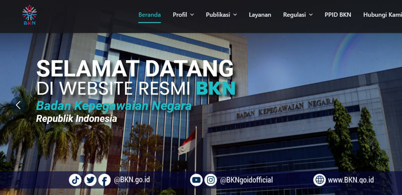 Cara Cek Database BKN NON ASN dengan Mudah dan Cepat
